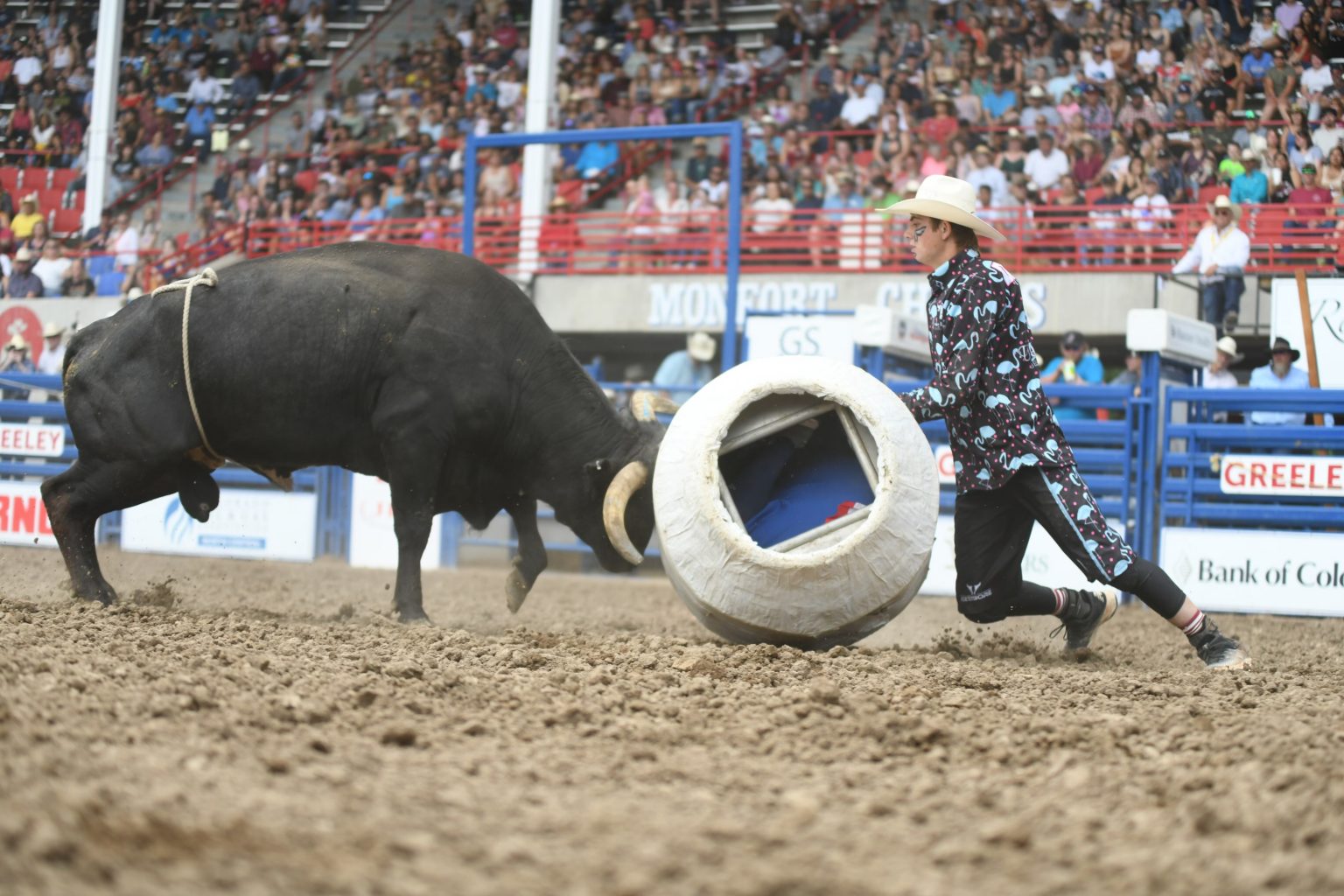 Ruckus on the River- Bull Riding & Bull Fighting